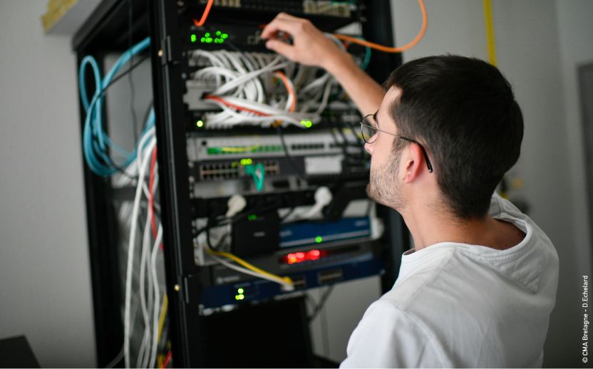 Bac Pro Cybersécurité Informatique et réseaux, Électronique (CIEL)